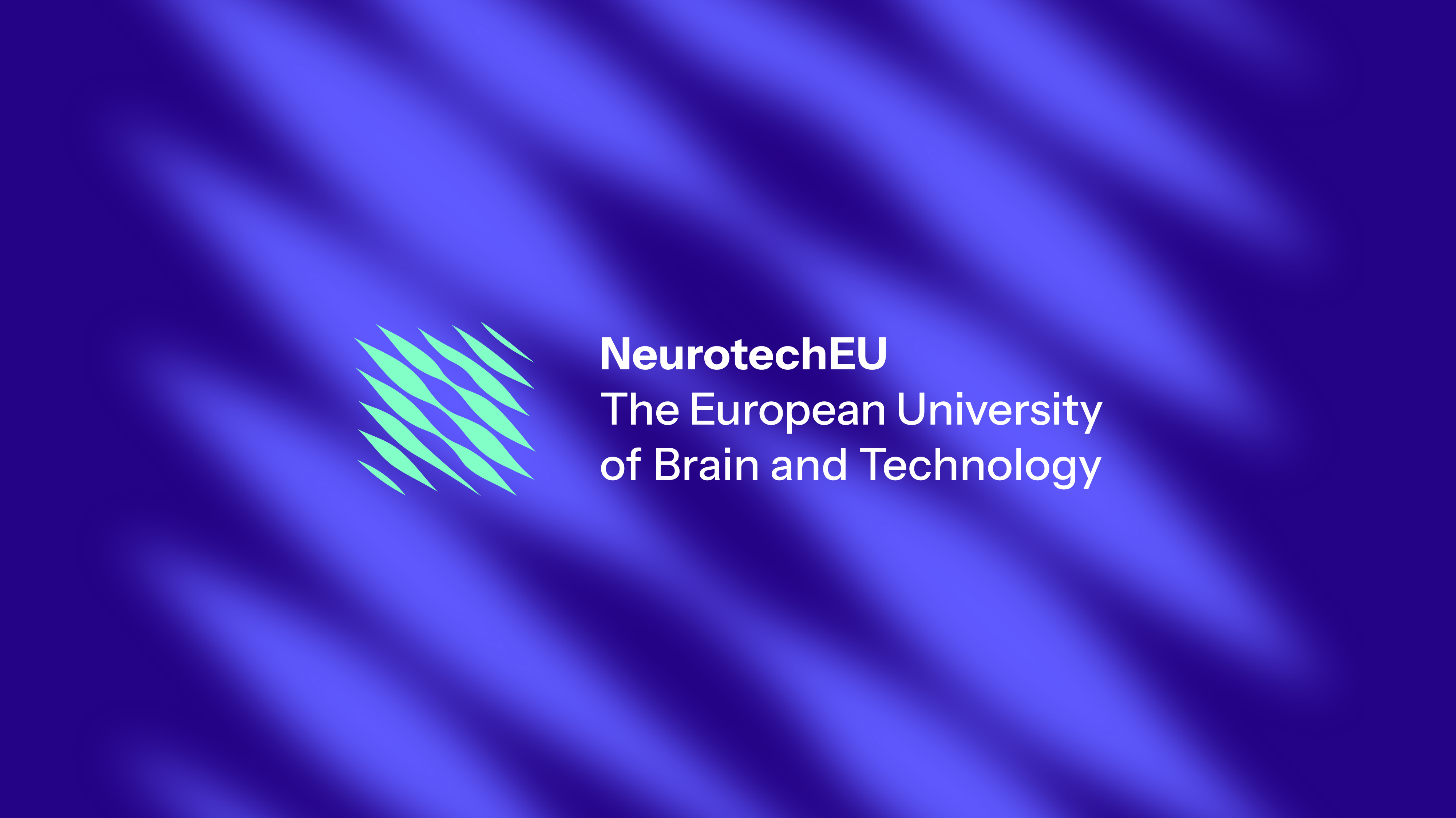 UMH Winter School on Brain Architecture for NeuroAI and Neurotechnology ...